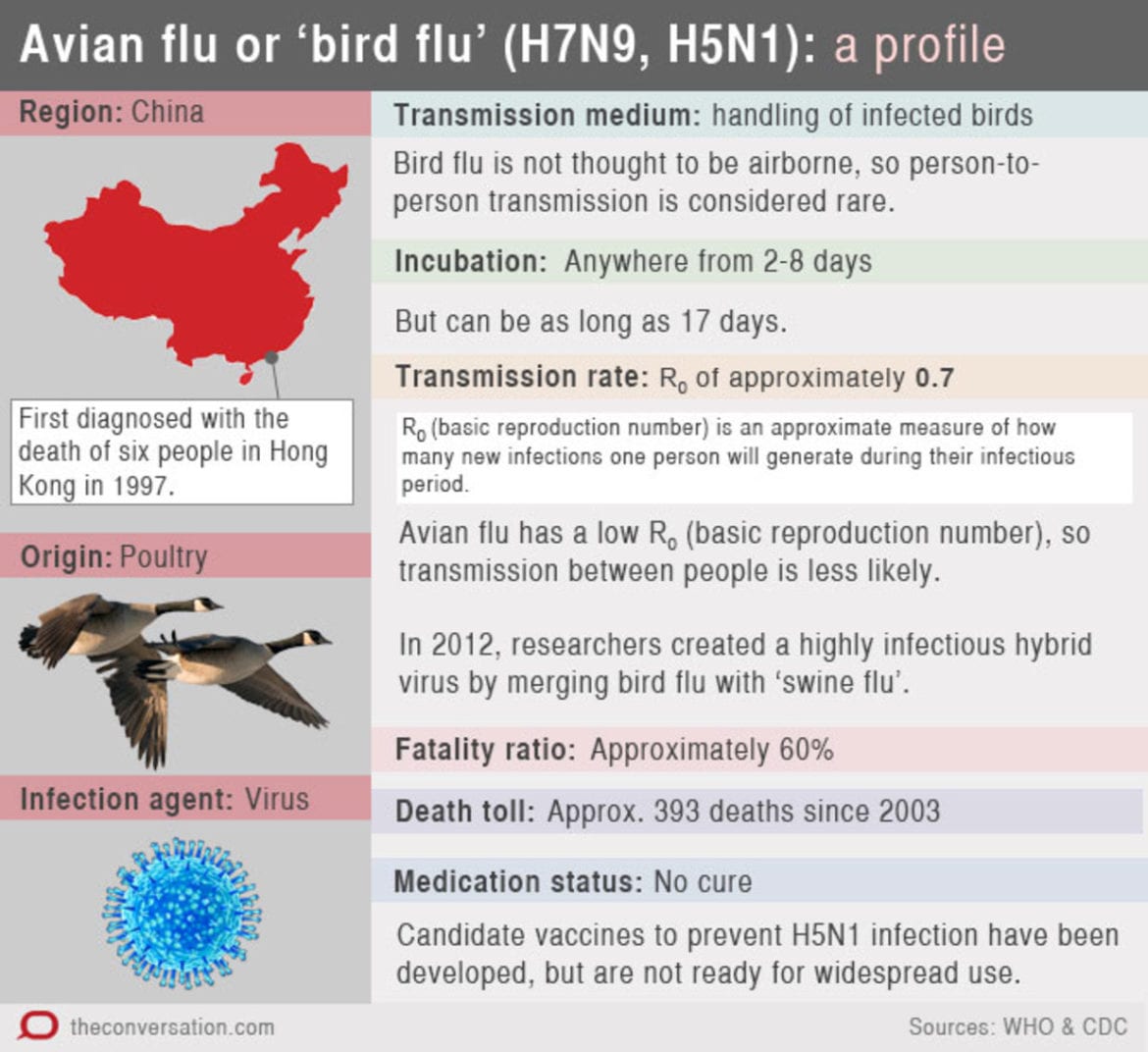 Fast-Spreading Killers: How Ebola Compares