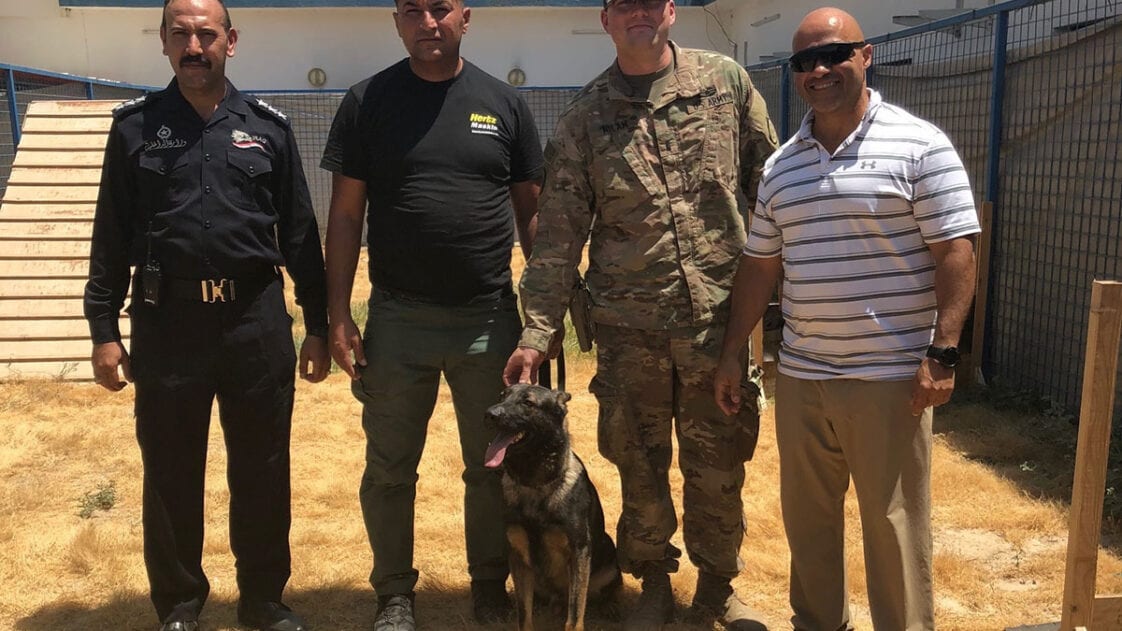 CRESS Detection for New Types of IEDS